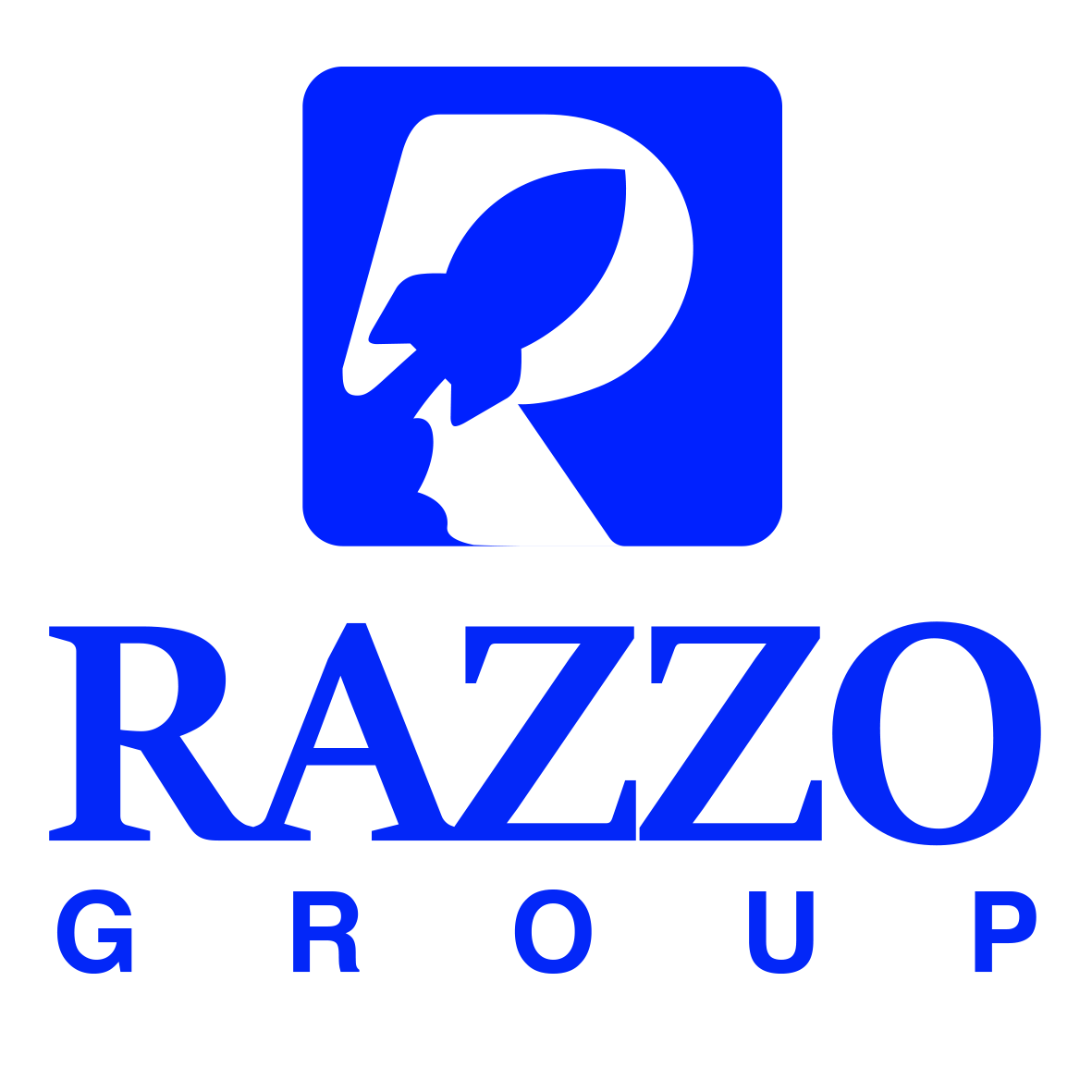Contact – Razzo group